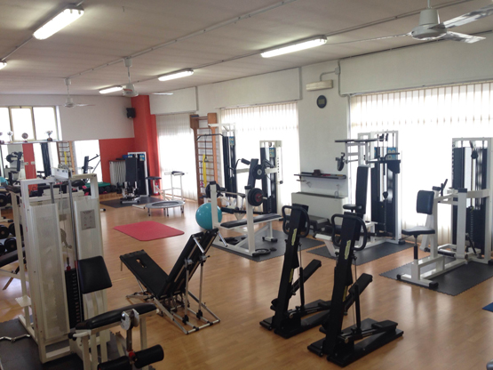 palestra | FisioSport